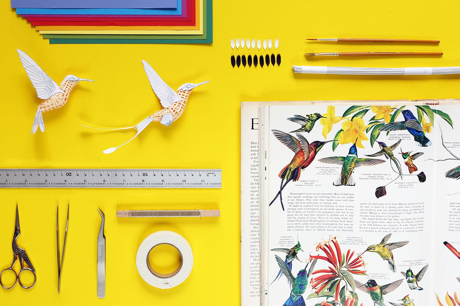 In Good Company x Diana Beltrán Herrera: An Installation Series of ...